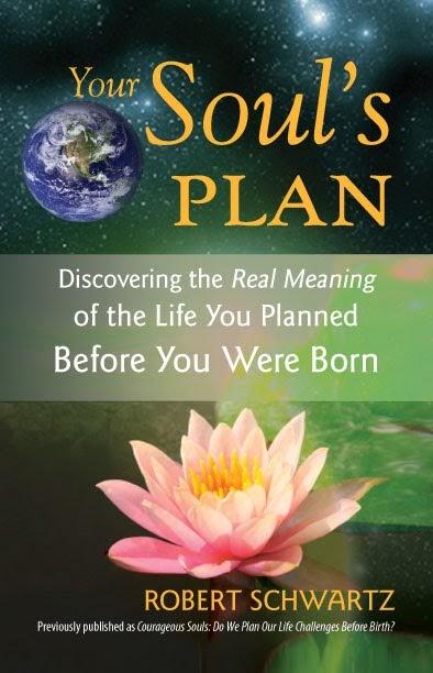 Your Soul's Plan : Discovering The Meaning Of Life - Psychedelic Adventure