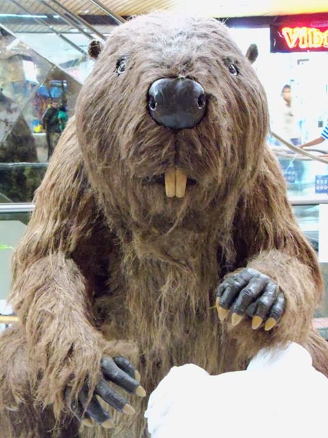 Los Gigantes de la Era de Hielo. Exposición Checa en Colombia ...