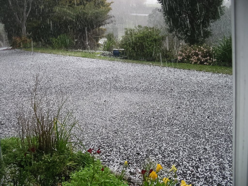 Quiltingorchardist: Hail.