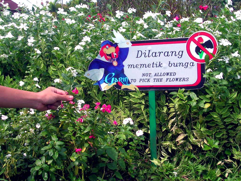 ~Pena sAng Penyair ~: ~Dilarang memetik BUNGA~