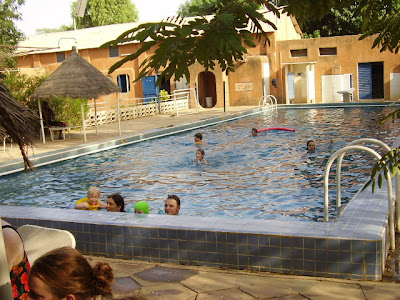 Debbie Heine: Bush trips and Baby shrews