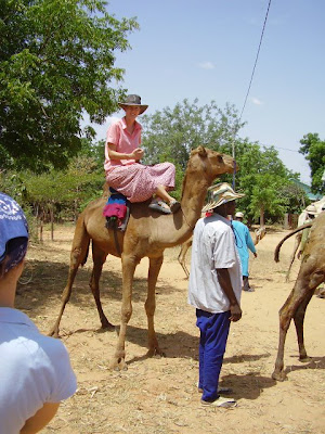 Debbie Heine: Bush trips and Baby shrews