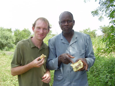 Debbie Heine: Bush trips and Baby shrews