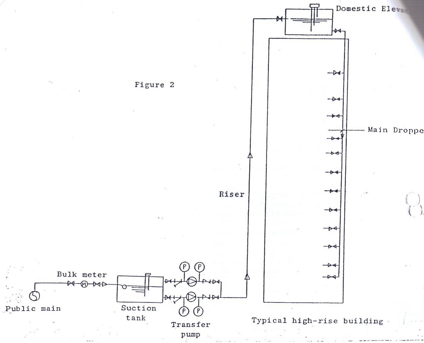 ~ fird ~: 7 & 10 MAY 2010