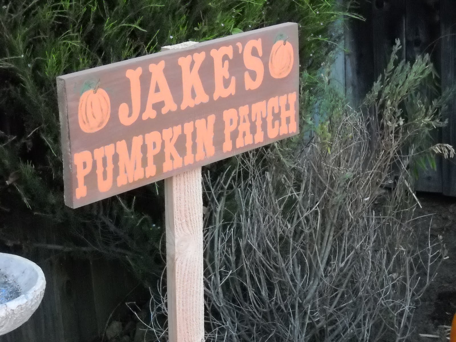 rosespetitemaison: Baby Jake's First Birthday or Pumpkin Extravaganza