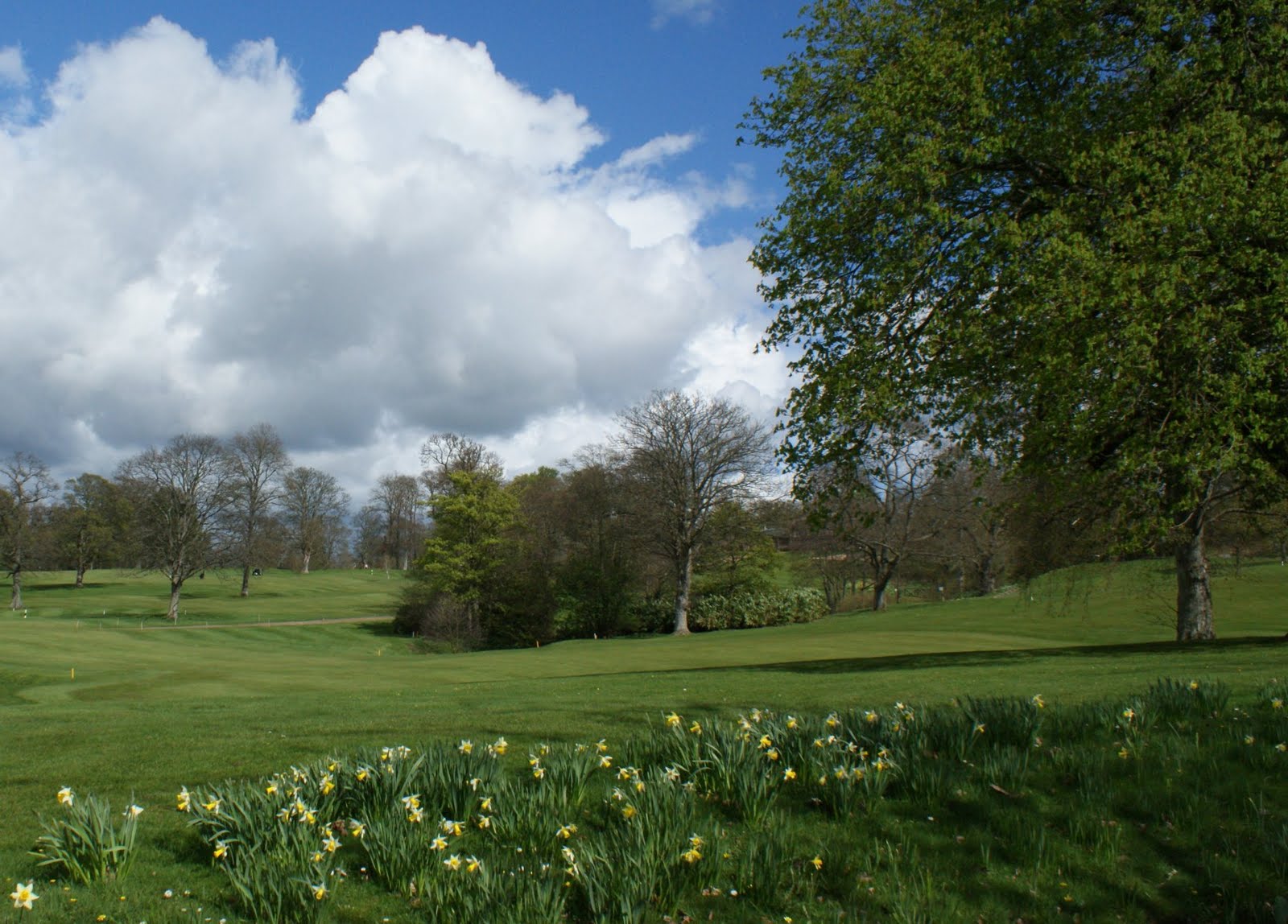 Tour Scotland: April 30th Photograph Afternoon Scone Scotland