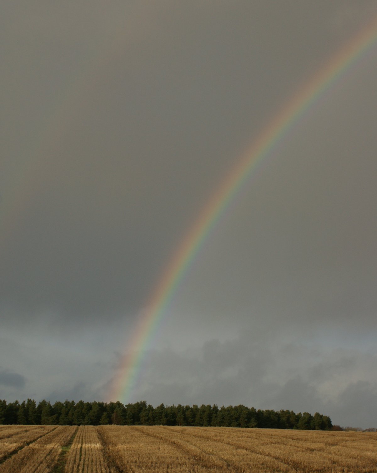 Tour Scotland: November 25th Photograph Rainbow Rural Scotland