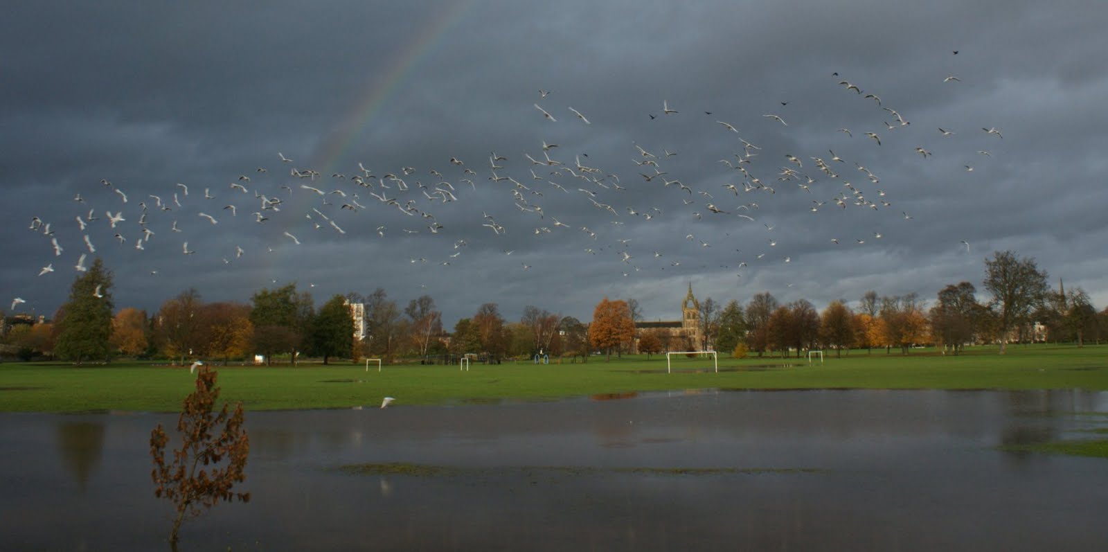 Tour Scotland: November 22nd Photograph Rainbow Scotland