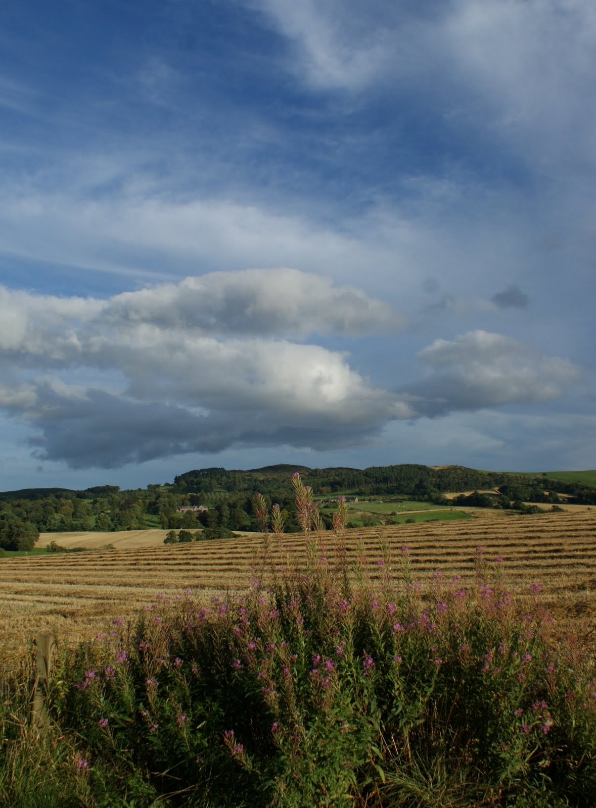 Tour Scotland: September 10th Evening Photograph Scotland
