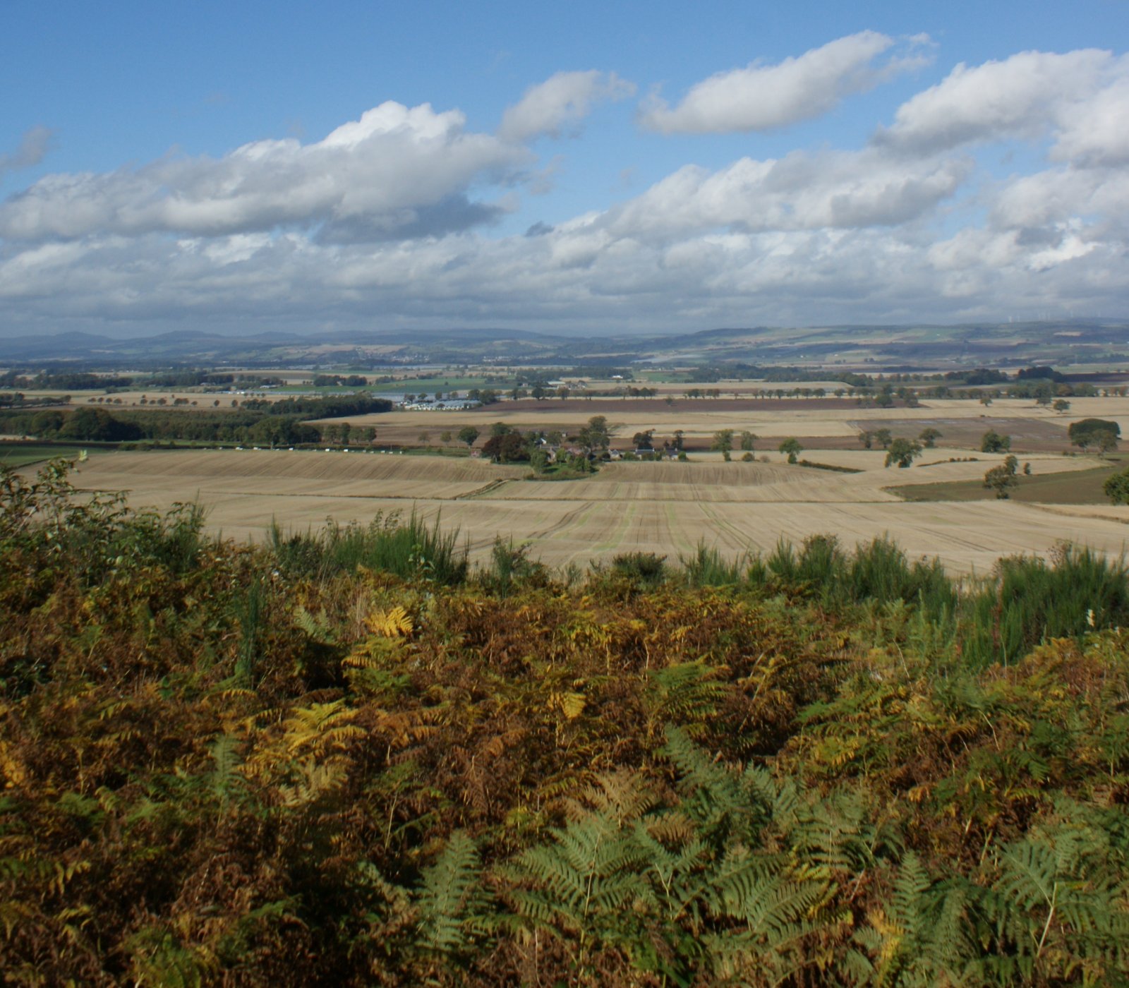 Tour Scotland: October 4th Photograph Strathmore Angus Scotland
