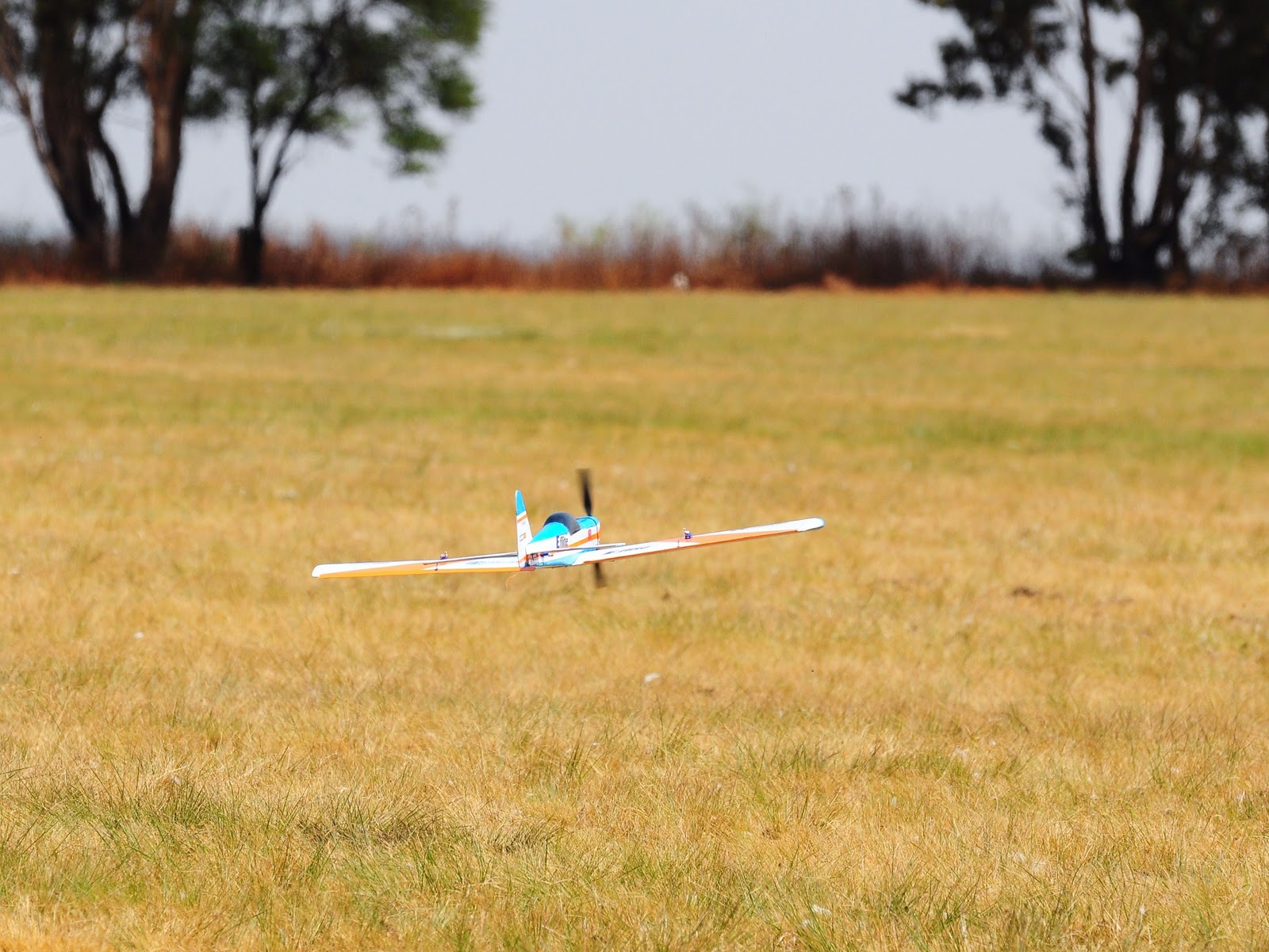 B.E.R.G.: E-slope Mini Pulse successful maiden flight
