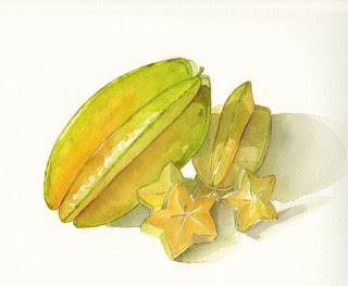 Drawing on Nature: Starfruit study