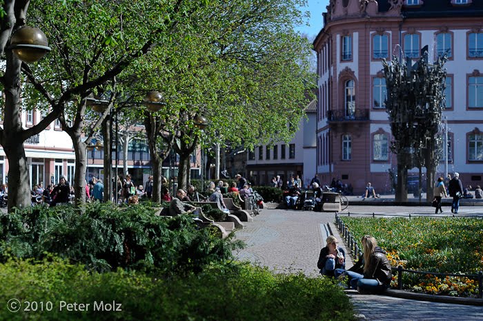 Mainz-Images: Frühling in der Stadt / Spring in town