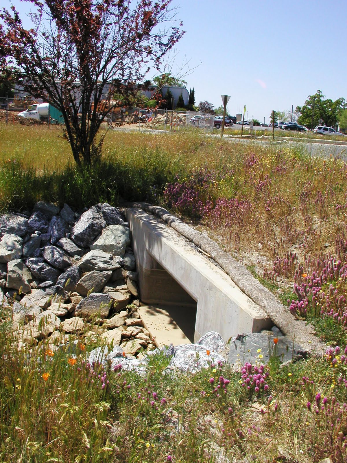 Fresno Civil Engineering & Design Firm