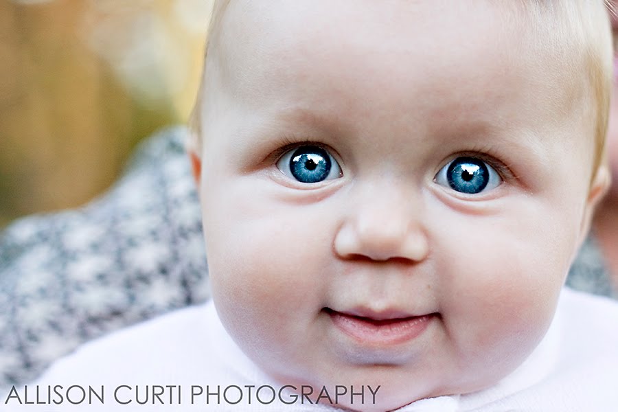 Allison Curti Photography: The Barbee Family Finale