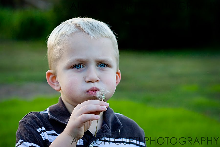 Allison Curti Photography: The Barbee Family Finale