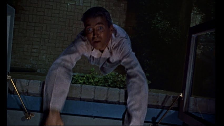 max sees movies: #48: Rear Window