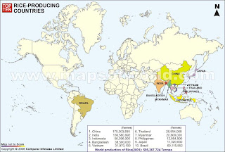 Agriculture(vavasayam): World Top 10 Rice Producing Countries