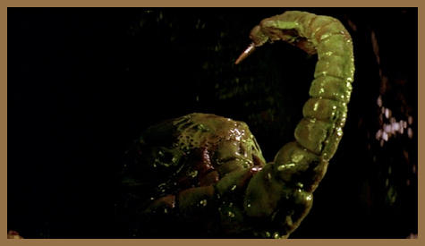 The Day Hollywood Stood Still: Friday Feature: The 10 Best Plants In ...