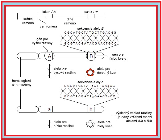 ALEL | Berita Biologi