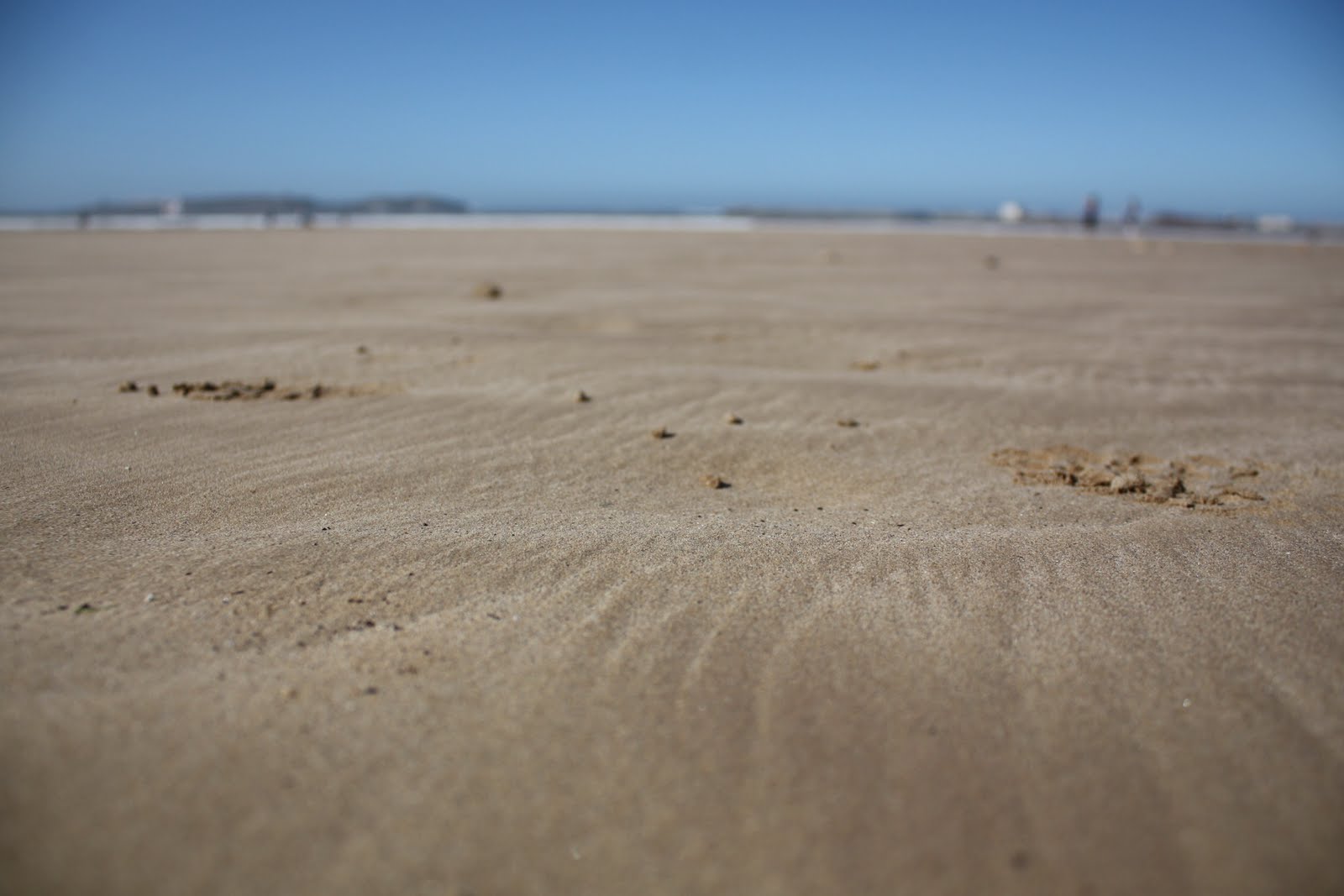 Kari Langslet: Life of a [former] NOMAD and [permanent] fashionista