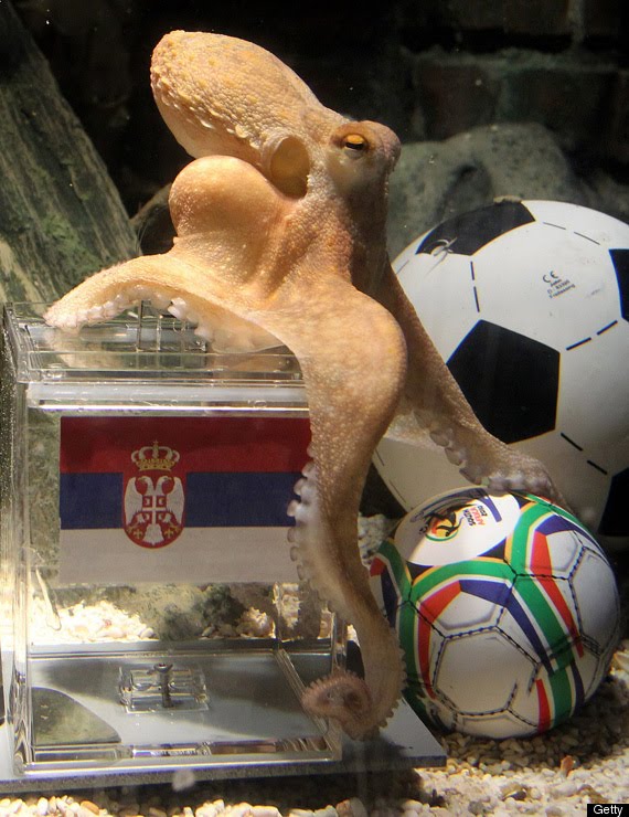The day I walk away..: ..Paul The Octopus, The World Cup Genius..