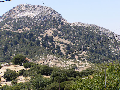 Λίγα και καλά...: Τσίπιανα Ηλείας-Φωτογραφίες