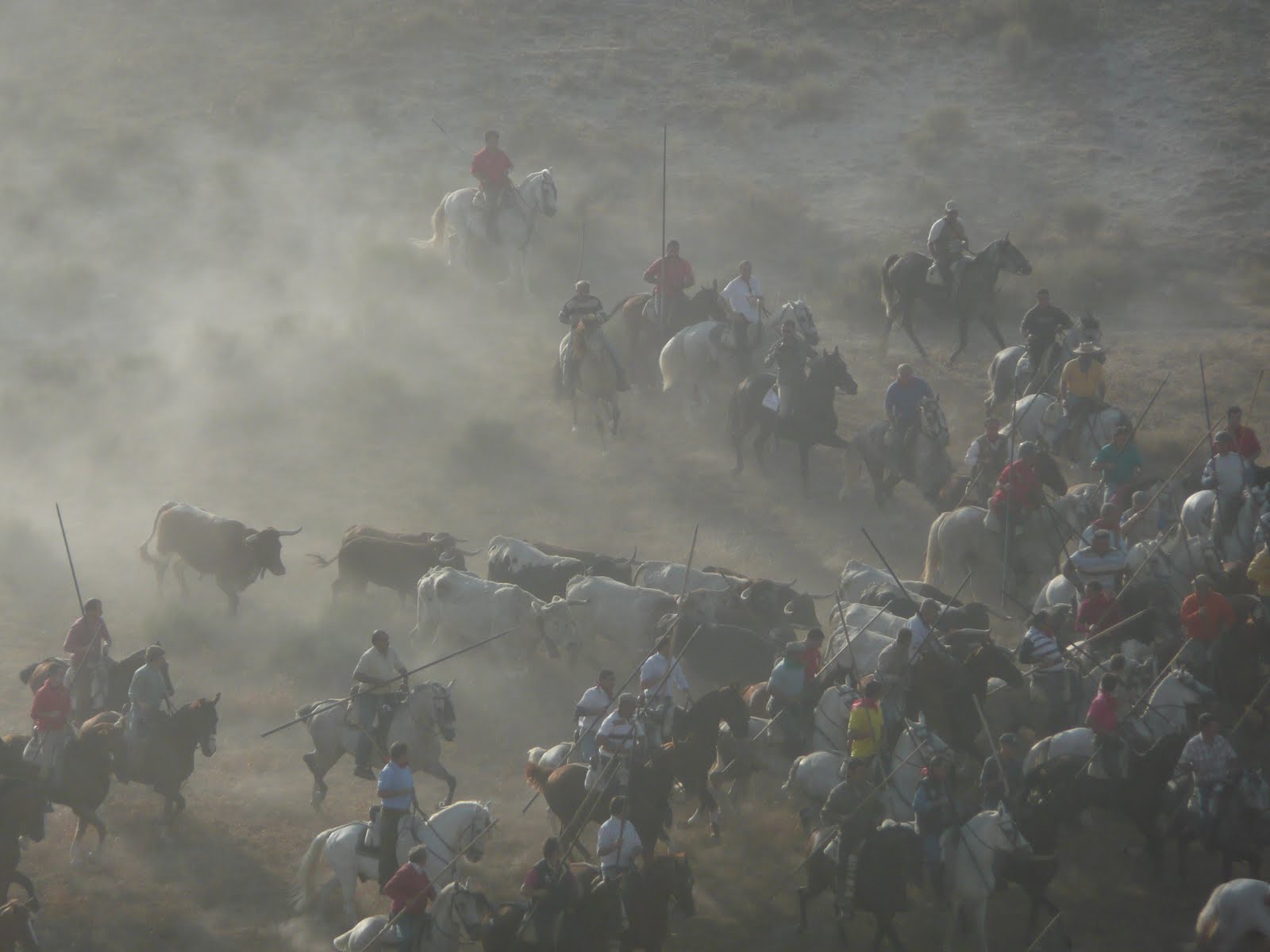 EL Rincón de Ordóñez: "CABESTRO, BUEY O MANSO"