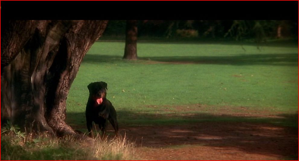 Mystical animals | Mother of God