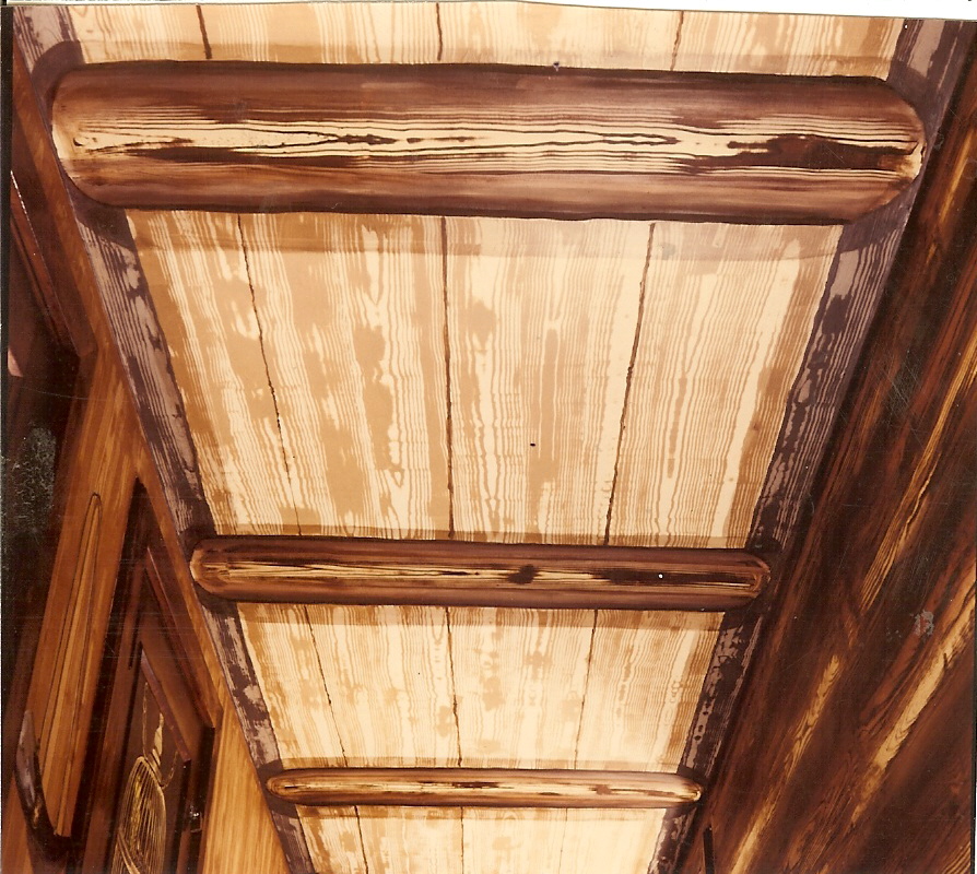 Bonnie Siracusa My Inner Mind's Vision: MURALS AND FAUX FINISHES CAN ...