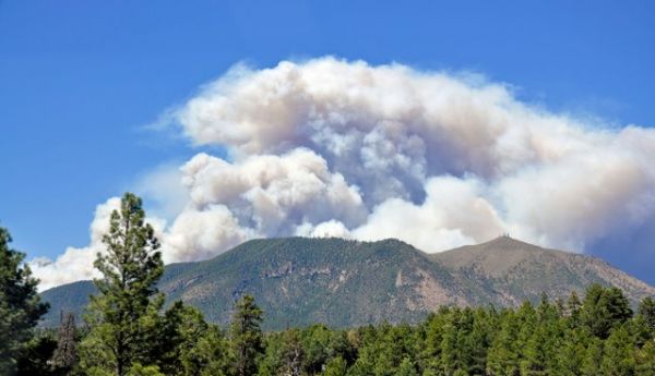 pygalgia: Schultz Fire-Day 3