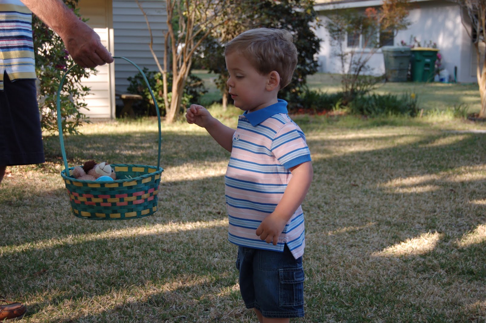 Caden and Cooper's Blog