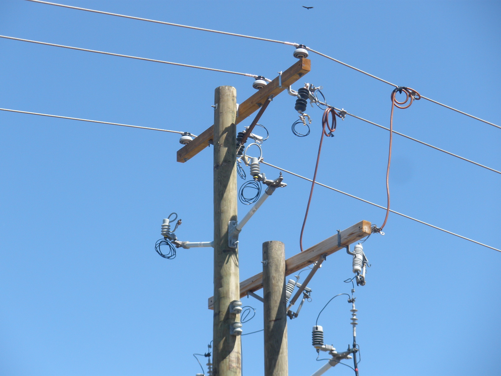 Life is Good : ): A new telephone pole