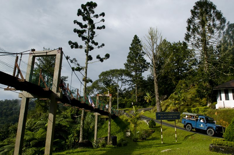 E-tour: Bukit Larut (Maxwell Hill), Taiping