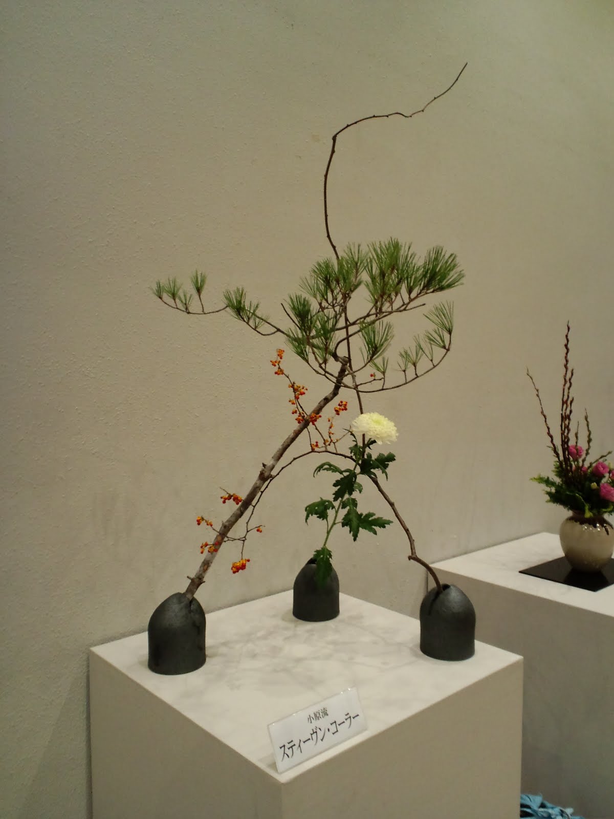 hanamai, the ikebana blog: Hanamai, Dancing Flowers