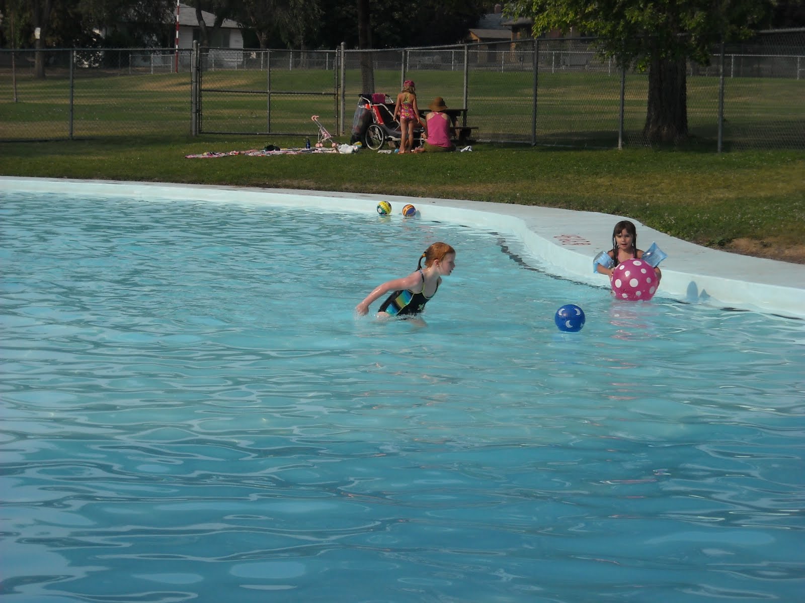 A family of four!: Peanut Pool