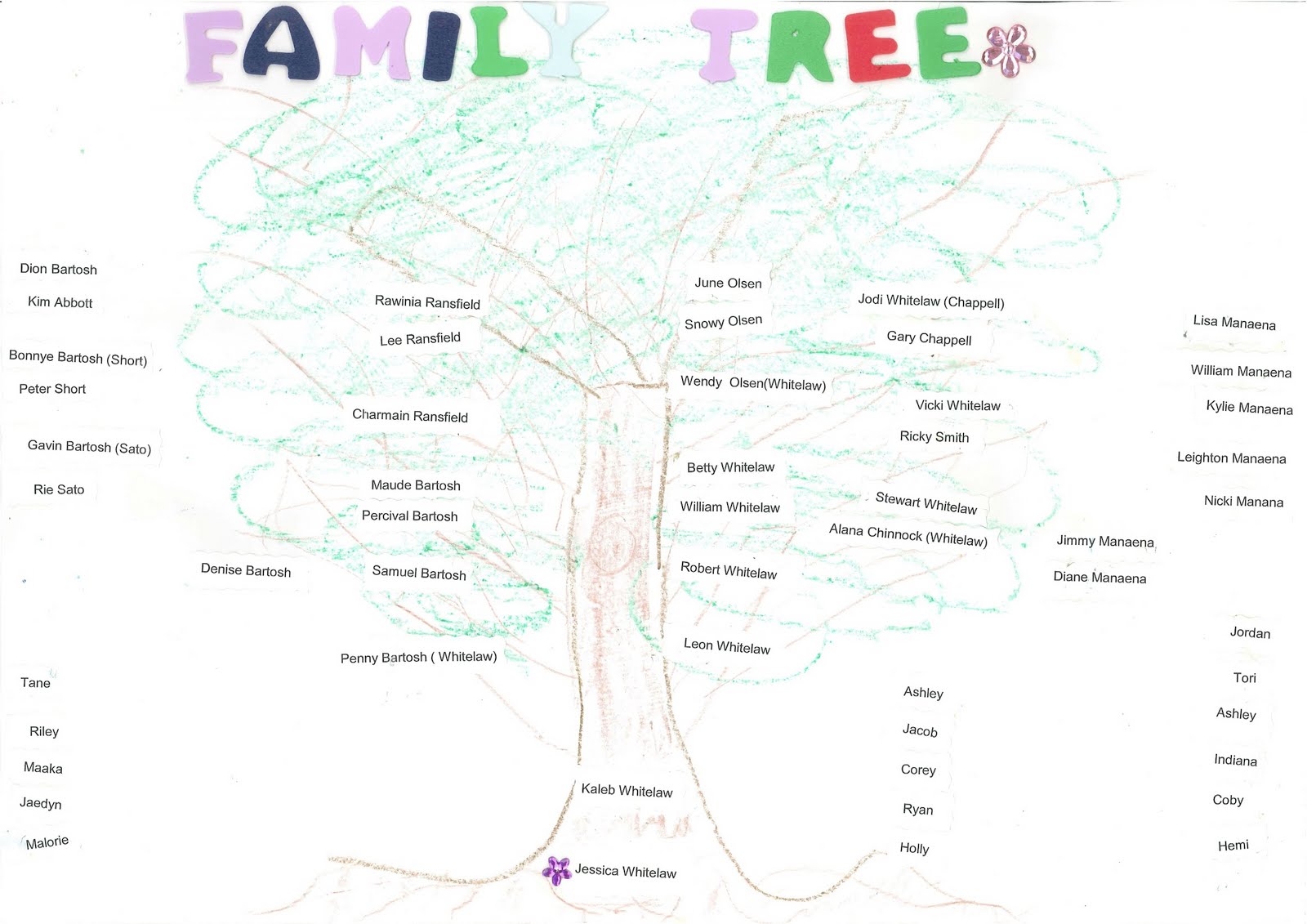 Jessica's Learning Portfolio