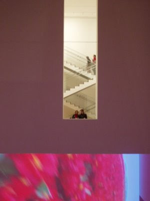 Taking Lead Now: A "Target Free Friday Night" Visit to the MOMA (Museum ...
