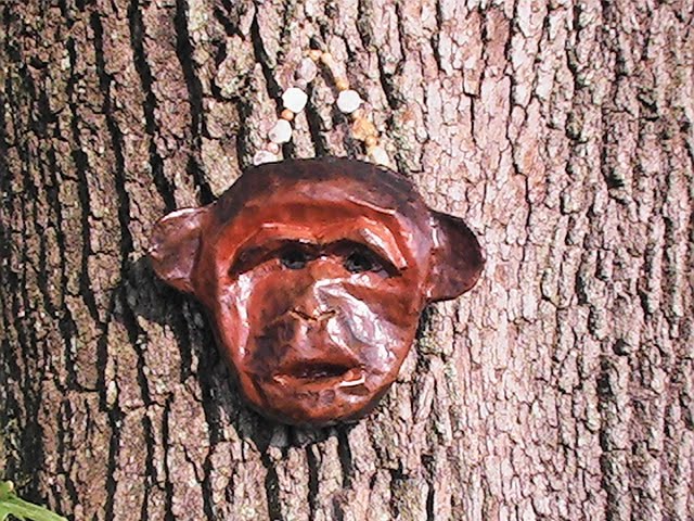 Make a Chimp Smile! Supporting Great Apes!: MAKE A CHIMP SMILE IN AFRICA