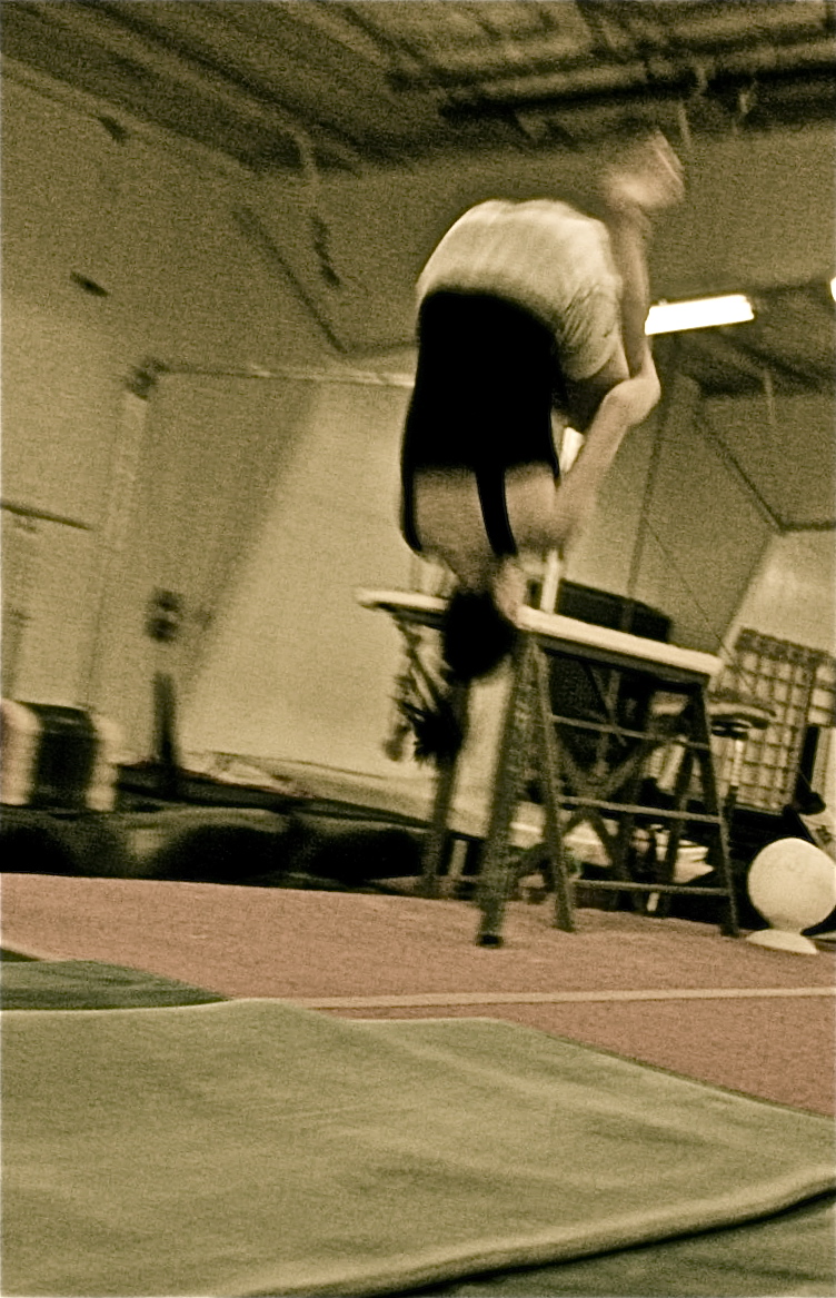 Flying High: Science and Gymnastics