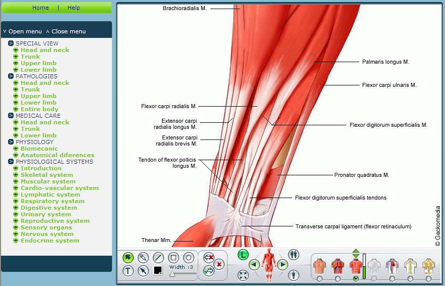 Medical Mnemonics 4U: Memory and Study aids for Medical Students