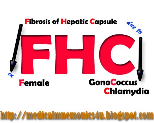 Medical Mnemonics 4U: Memory and Study aids for Medical Students