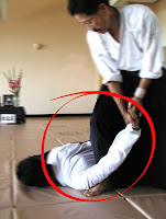 Mostly Aikido: Ikkyo, Nikkyo, Sankyo, Yonkyo