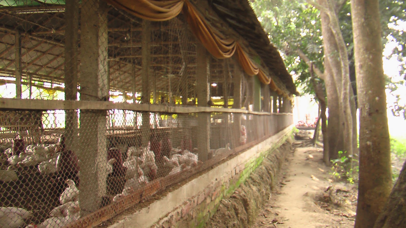 Poultry Biosecurity: Introduction to Poultry Biosecurity