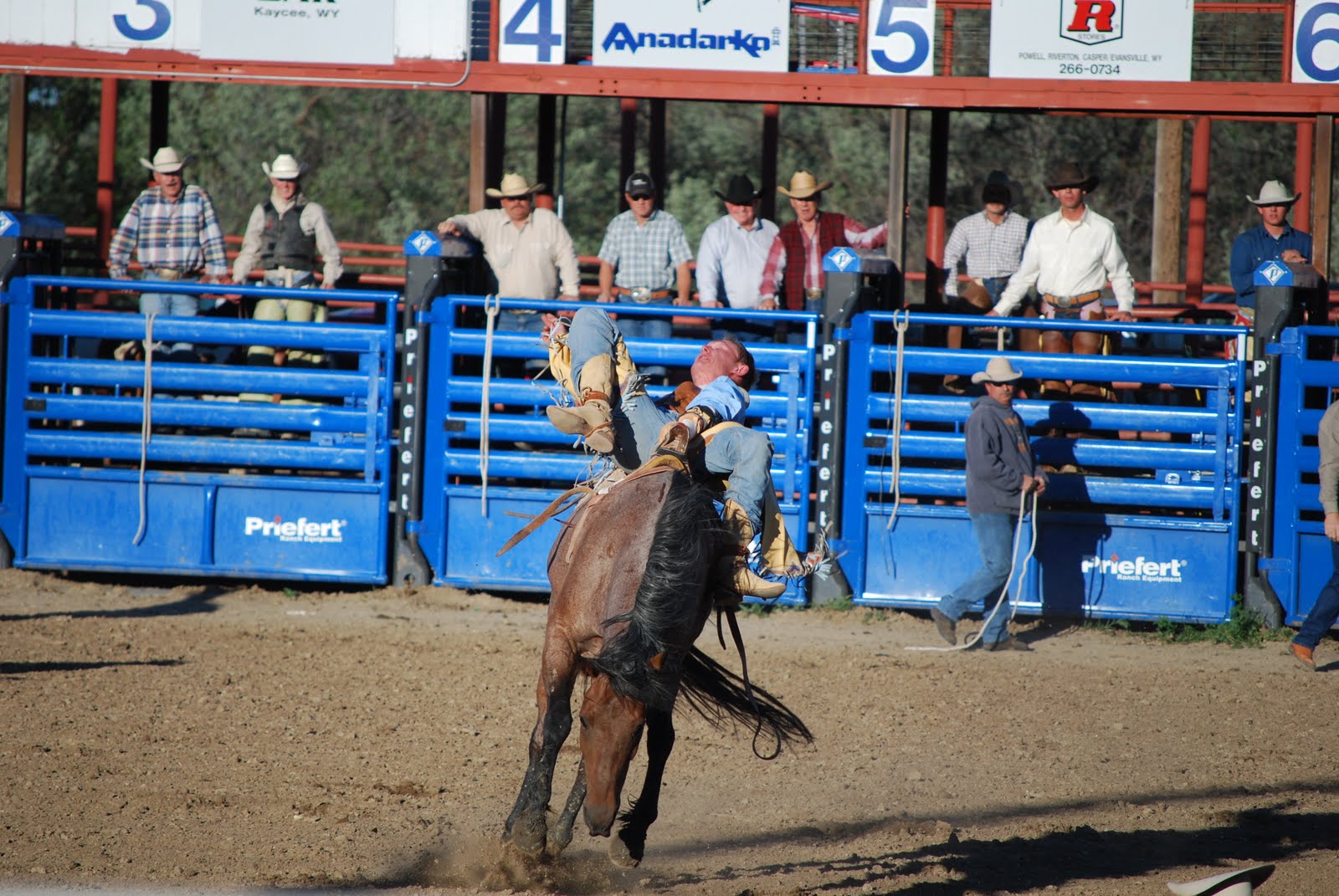 Chris LeDoux Memorial Broncs & Barrels