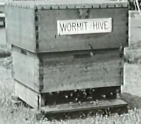 Bee Hive Journal - Help and advice for beekeepers