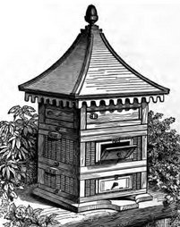 Bee Hive Journal - Help and advice for beekeepers