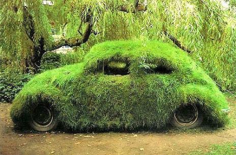 Beautiful World in Snaps: Nature Lover Cars