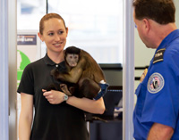 CRTASA: Help Support Monkey Helpers for People with Some Form of ...