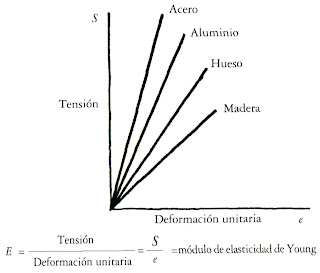 Alma de herrero: Módulo de Young